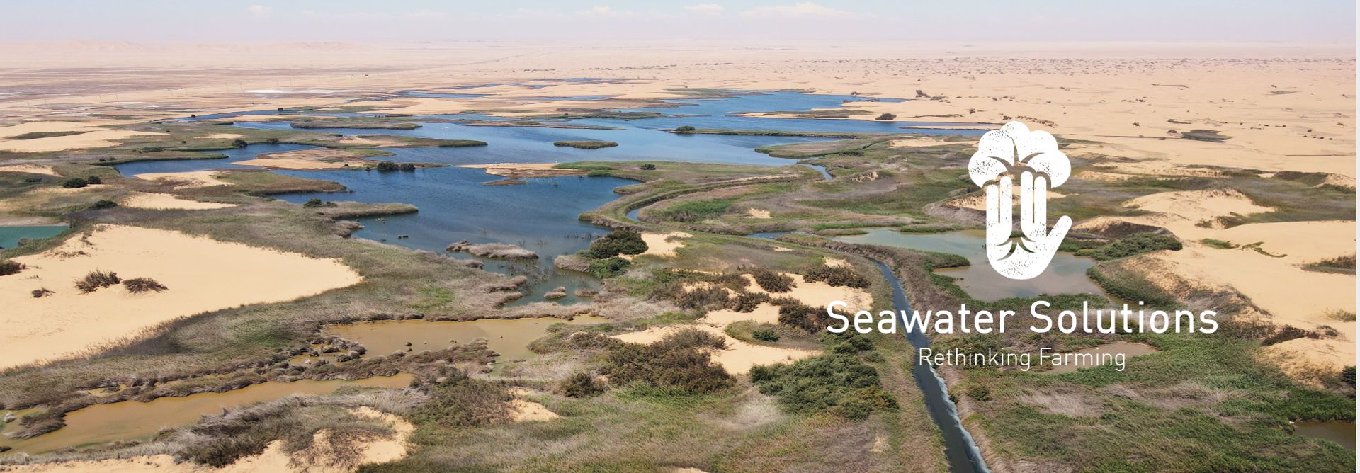 Seawater Solutions: Blue biomass feedstocks for bio-fuel production - UpLink - Contribution