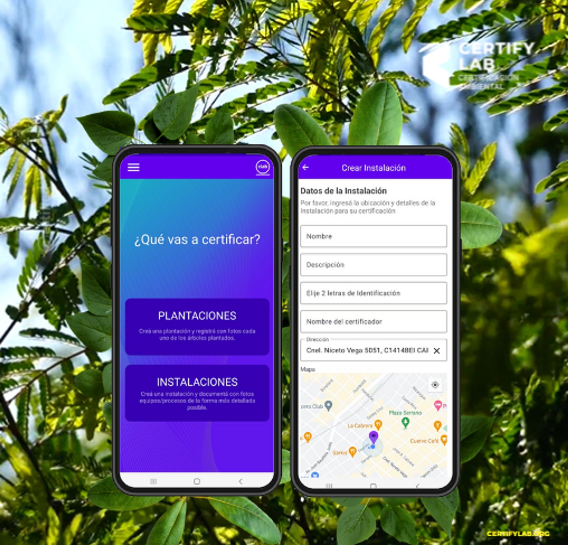 Reviving Forests at Scale: CertifyLab's Eco-Actions Revolution - UpLink - Contribution