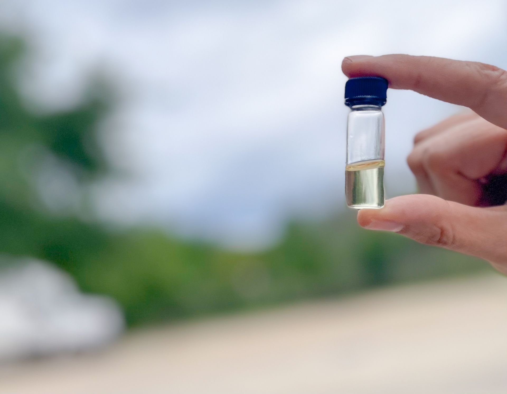 Contribution: Third generation feedstocks for sustainable aviation fuel