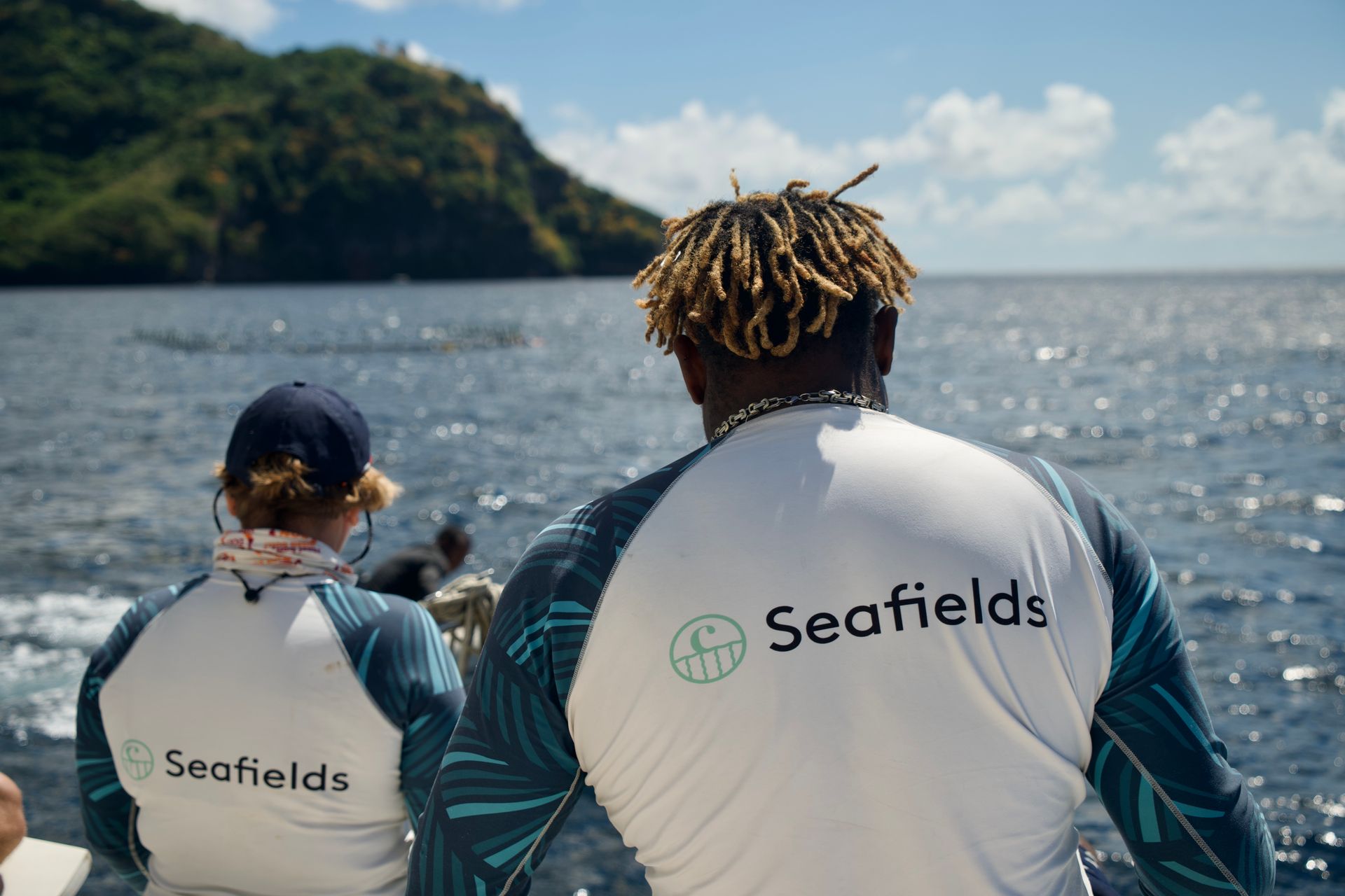 Seafields Sargassum Solution - Healing the Climate, Restoring our Oceans - UpLink - Contribution