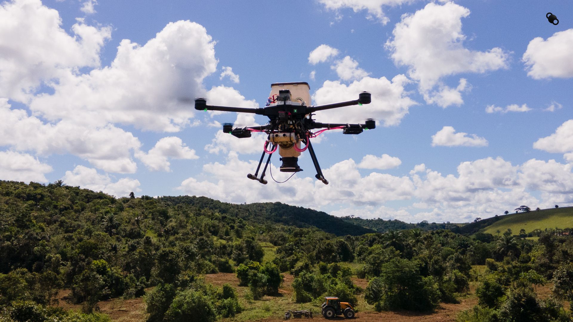 Contribution: Large scale restoration of native forest ecosystems