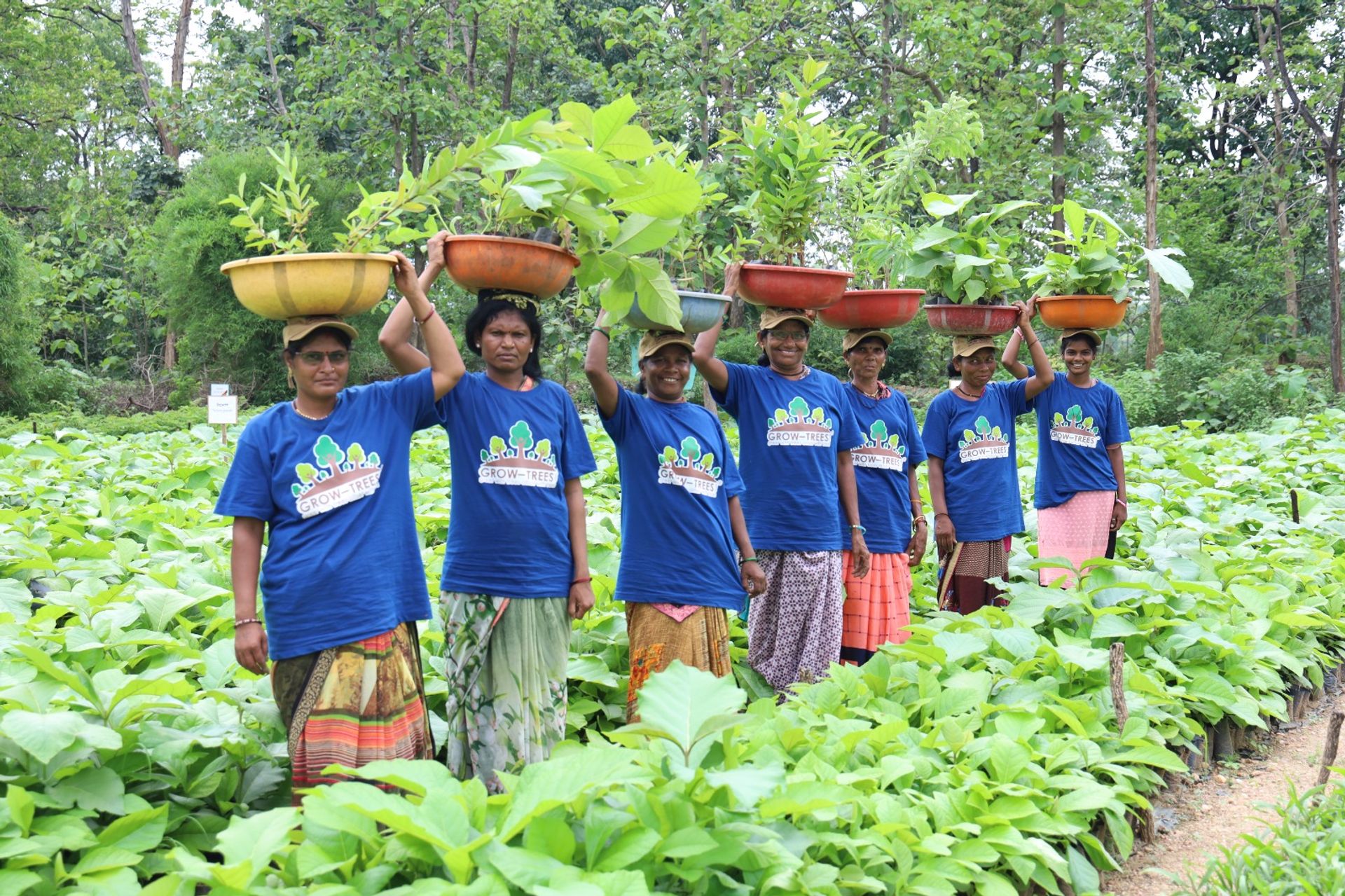 Contribution: Web enabled tree planting to combat deforestation and ...