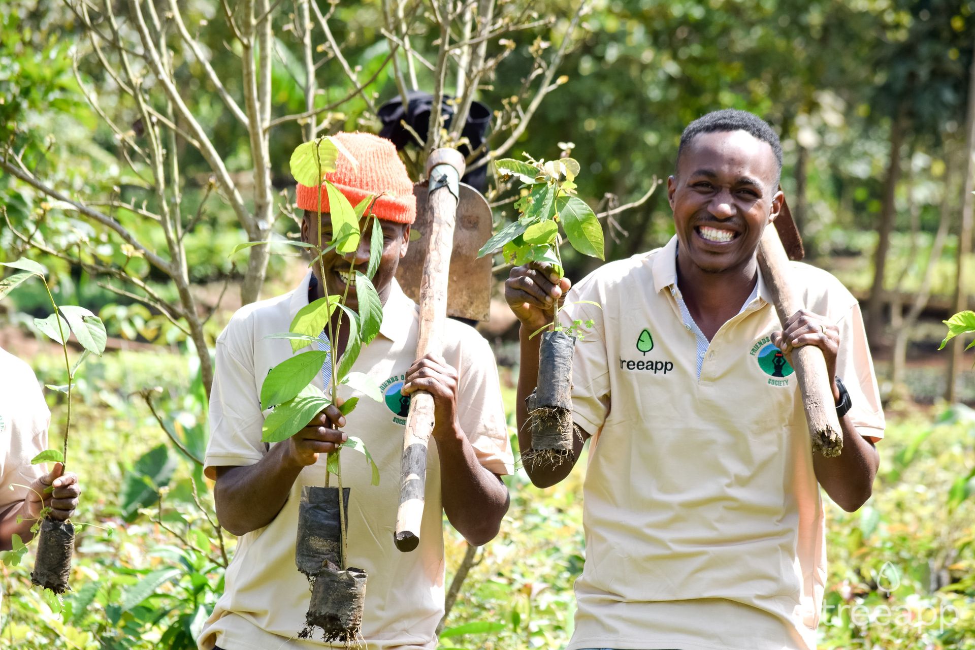 Contribution: A digital solution for individuals and businesses to ...