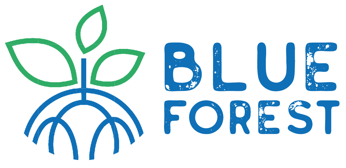 Contribution: Power to the People: Helping communities regain control ...