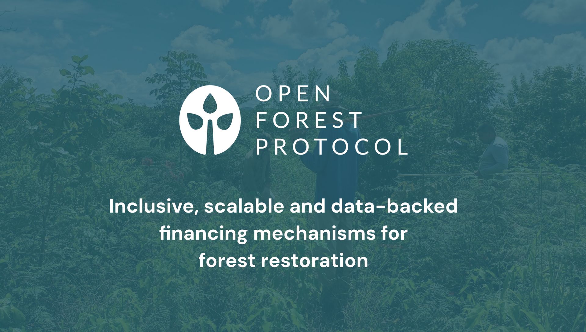 Open Forest Protocol: Inclusive, scalable and data-backed financing ...