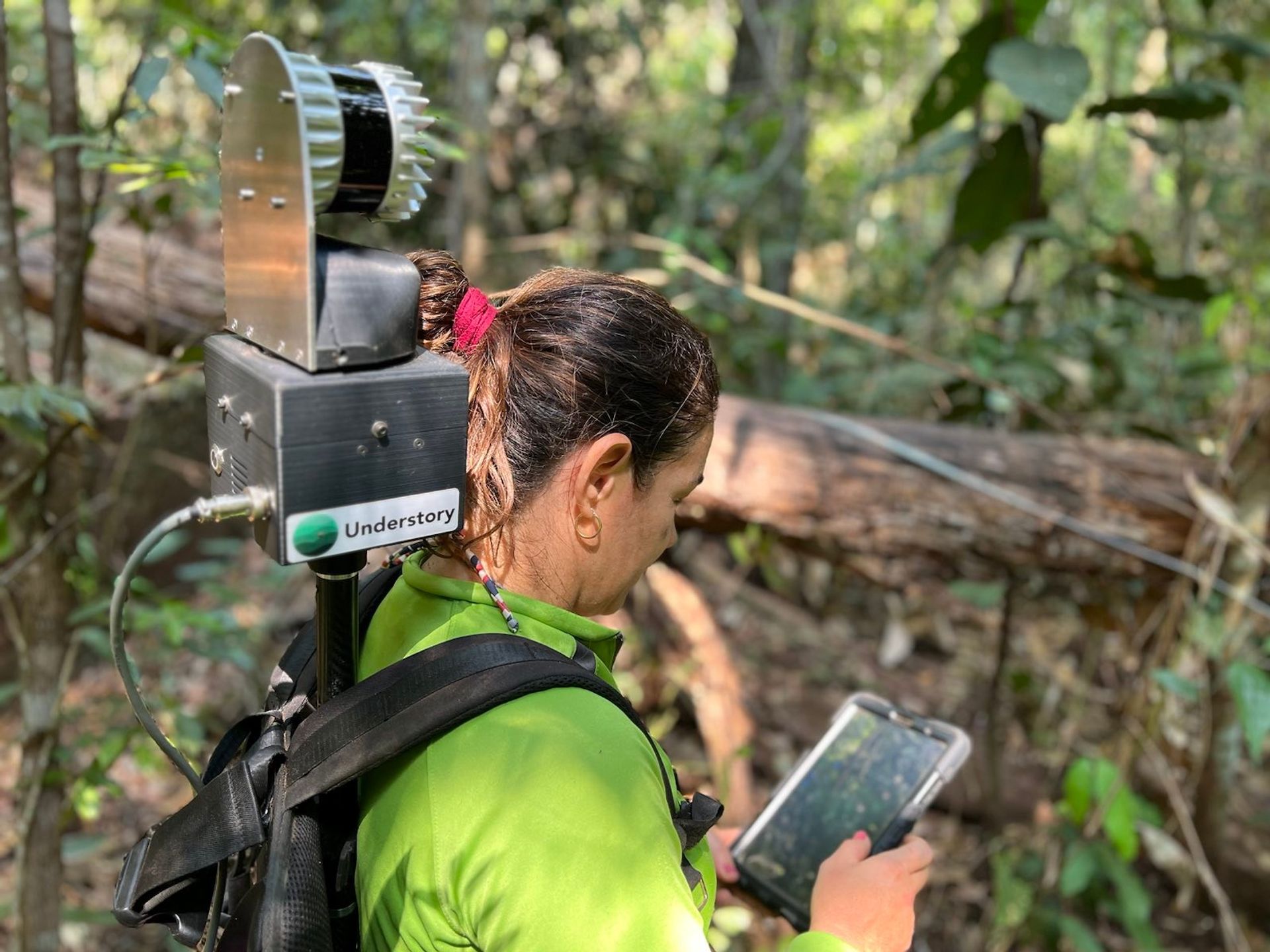 Understory: Forest Restoration Monitoring: on-the-ground data ...