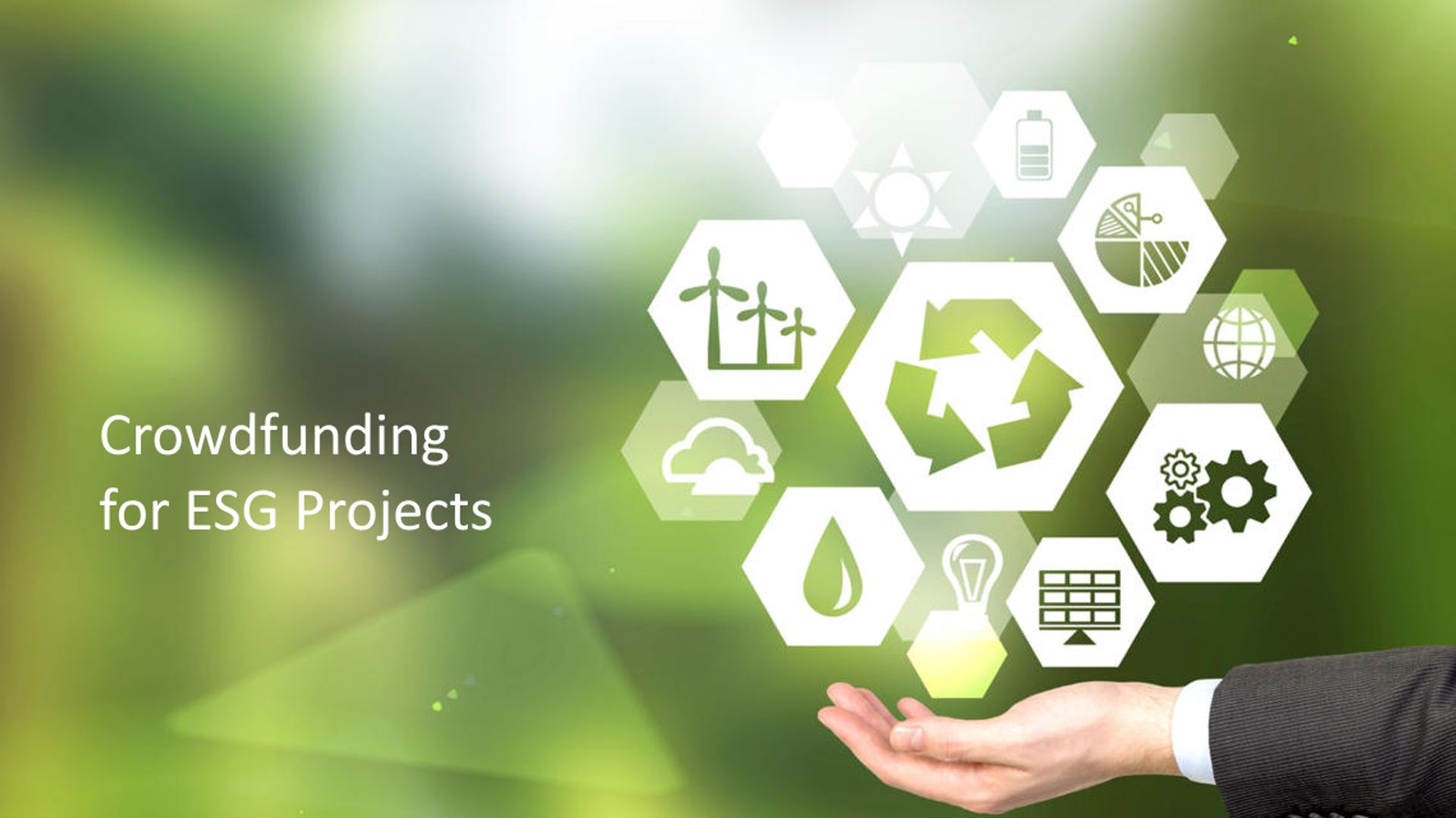 niirly: crowdfunding platform dedicated to accelerating sustainable ...