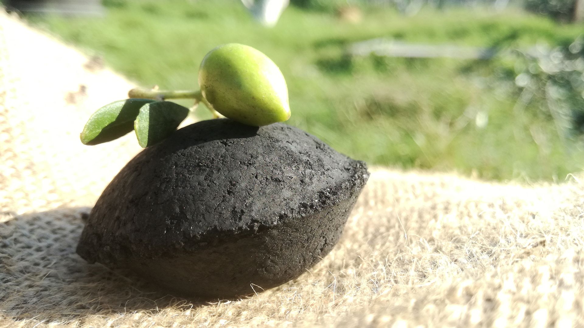 KLIMIS (VAS. & EK. KOTTARIDI GP): Innovative circular transformation of olive stones to barbecue ...