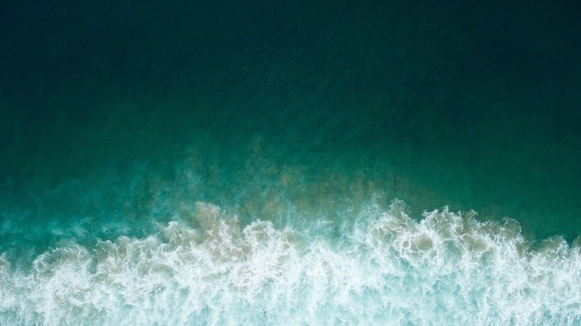 Contribution: Respect Ocean