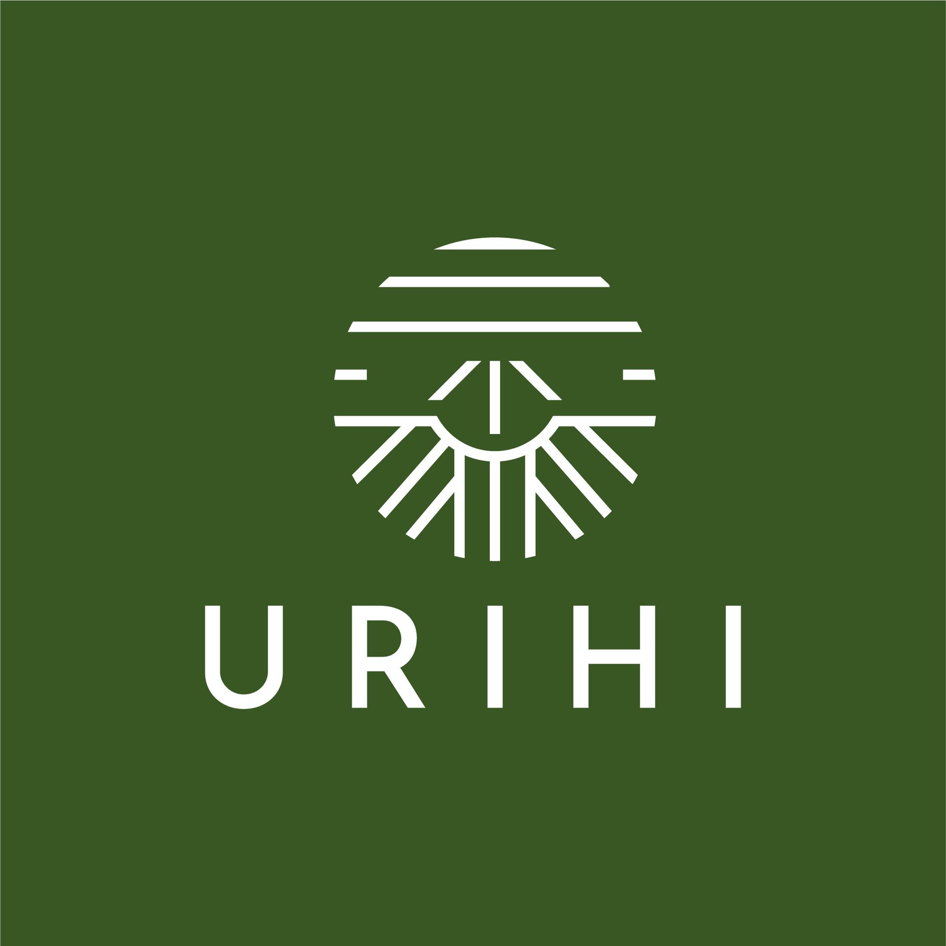 Urihi: Enabling the standing forest economy - UpLink - Contribution