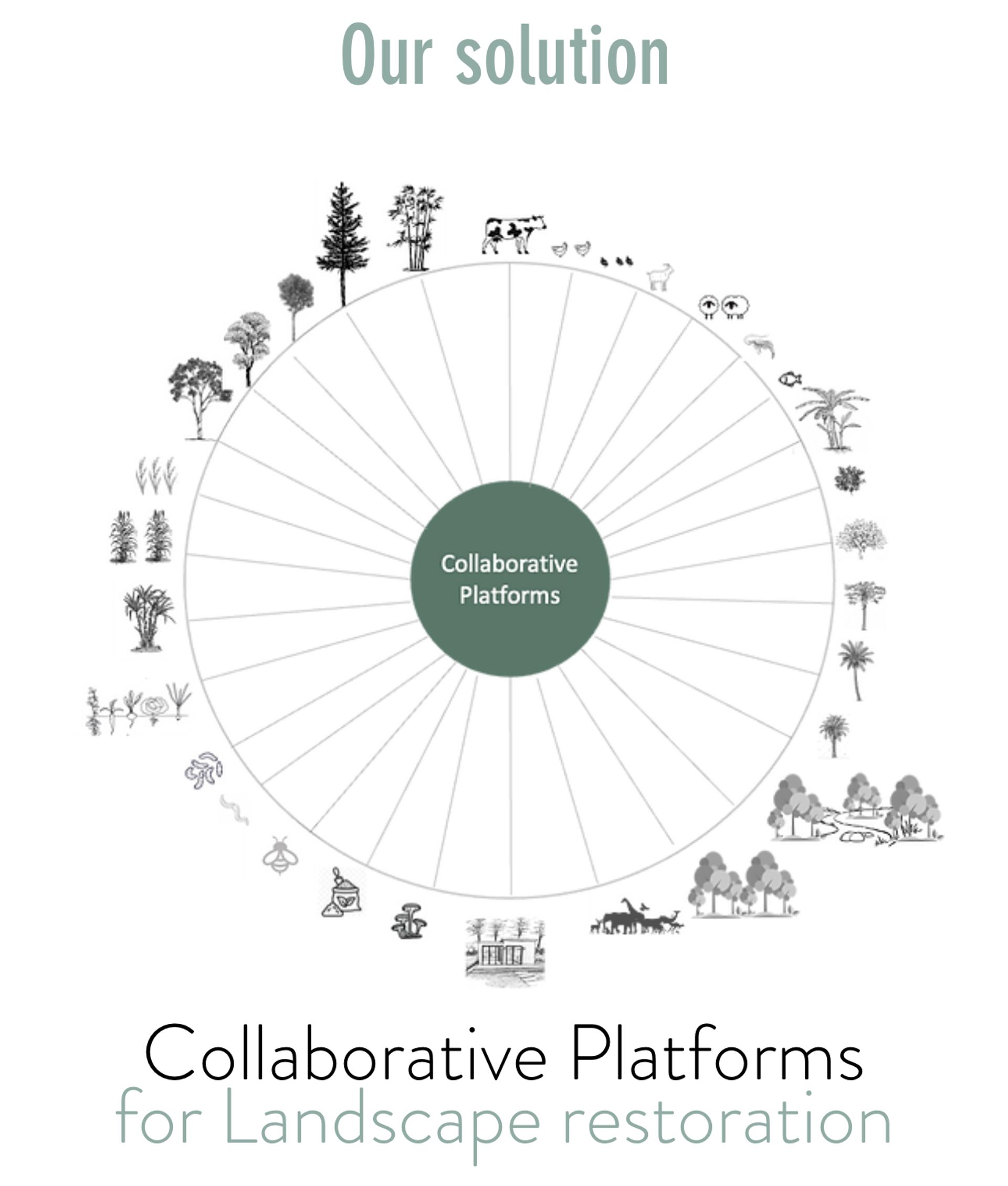 WEGO Platforms: Collaborative Platforms for landscape regeneration - UpLink - Contribution