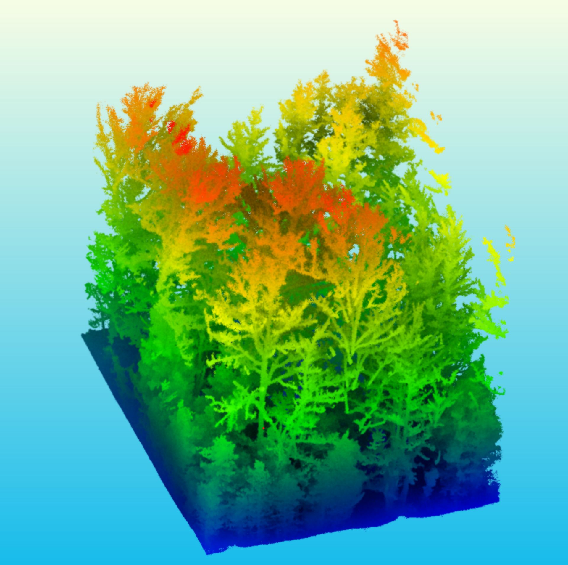 44.moles: Innovating in forest MRV for accurate credits and community empowerment - UpLink ...