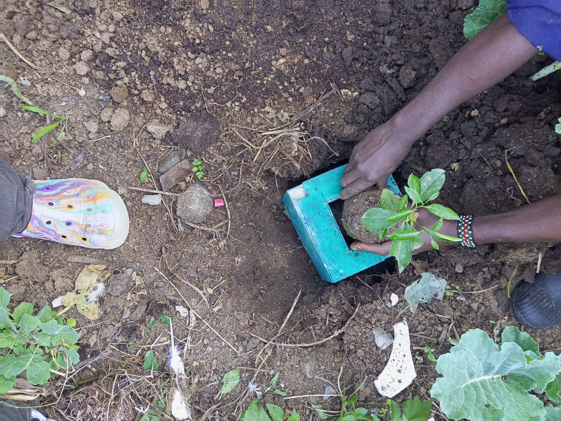 Soil Doctors: Carbon-Sink-Planters for growing trees in dry and ...