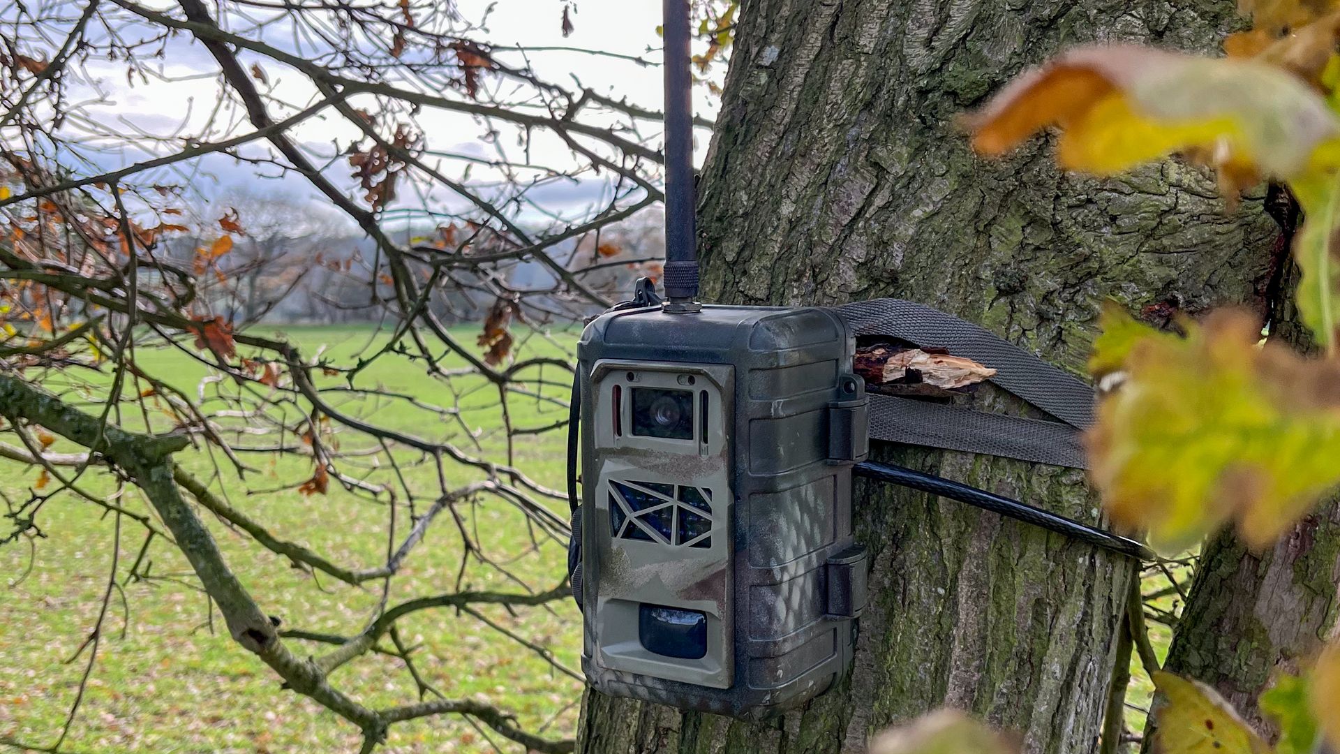 Frontline Conservation CIC: Instant Detect 2.0 - a satellite connected ...