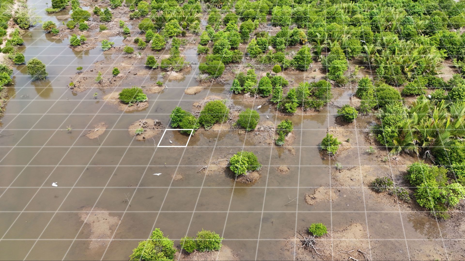 Inverto Earth AG: Scalable biodiversity monitoring for ecosystem based ...