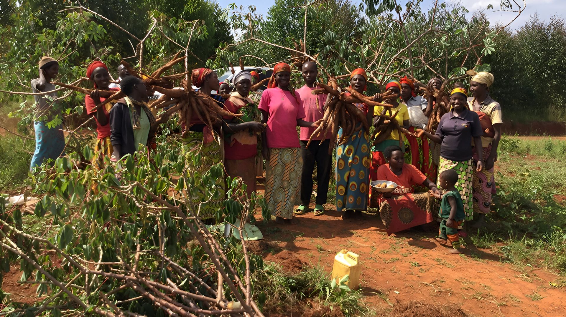 Alcoford Corporation: Catalyzing smallholder-farmers’livelihoods with sustainable cassava value ...