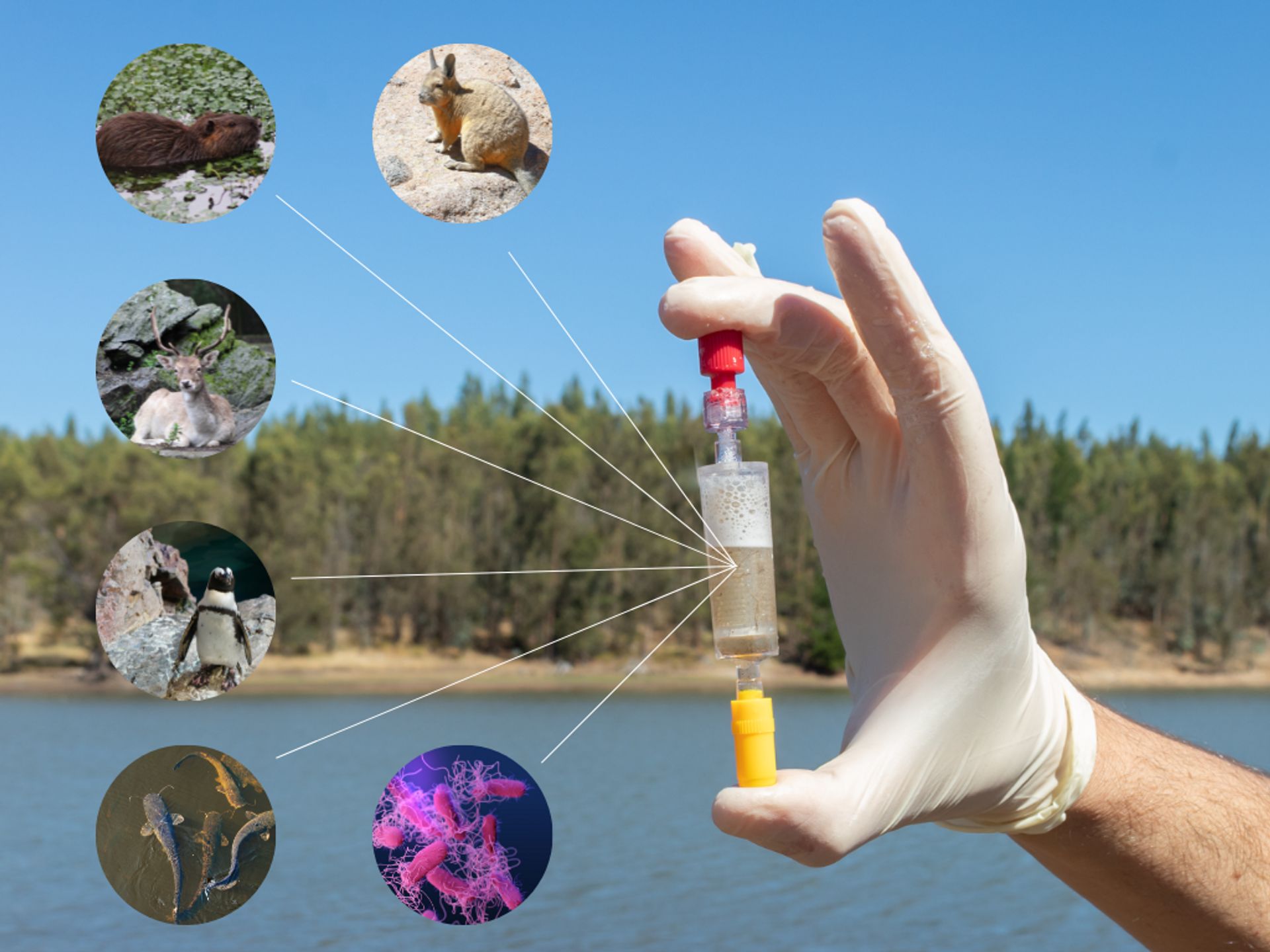 ECOGEN: Next-generation biomonitoring using eDNA: conservation and ...