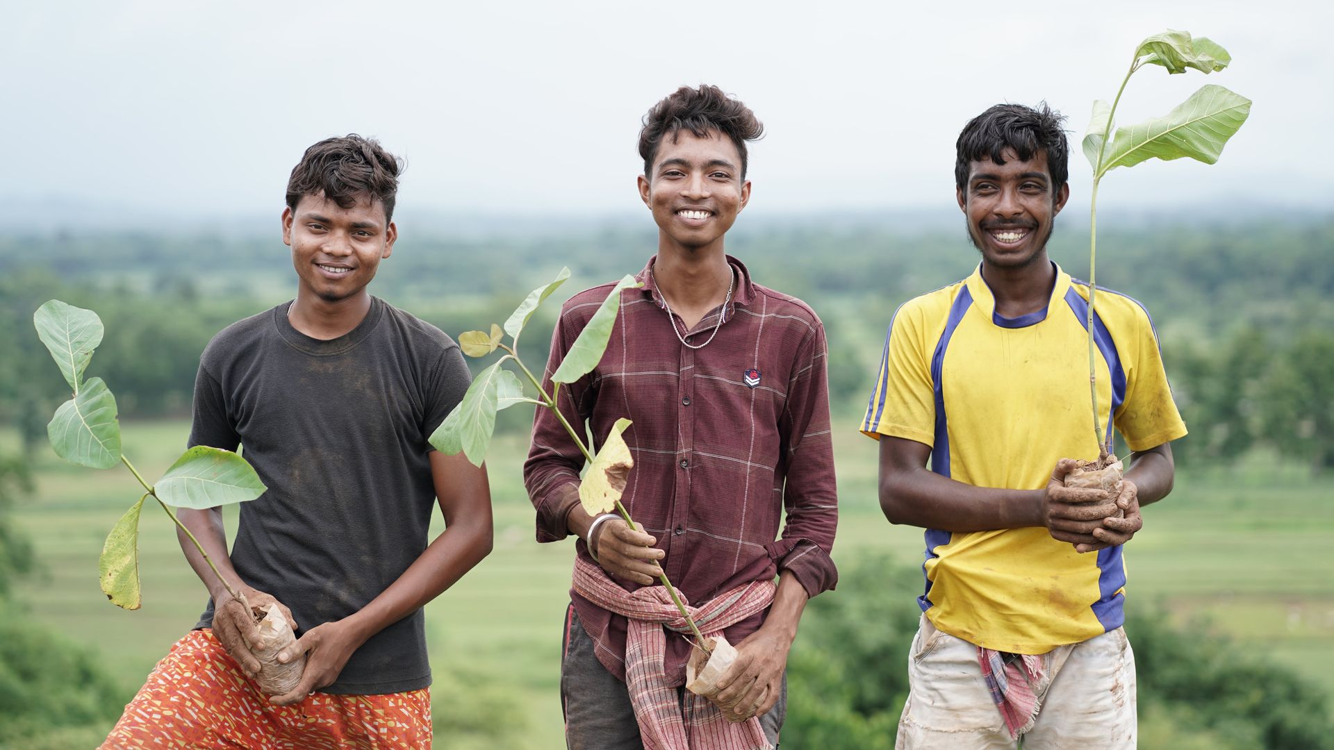 Grow-Trees: Click,Plant,Restore: Web-Based Tree Planting for Biodiversity - UpLink - Contribution