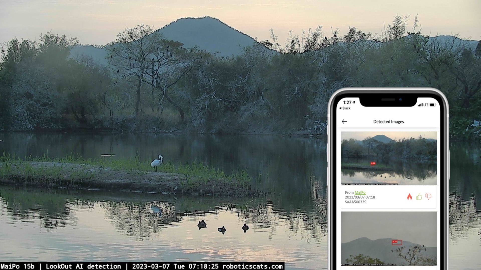 Robotics Cats: monitor wildlife, detect wildfire, livestream and ...