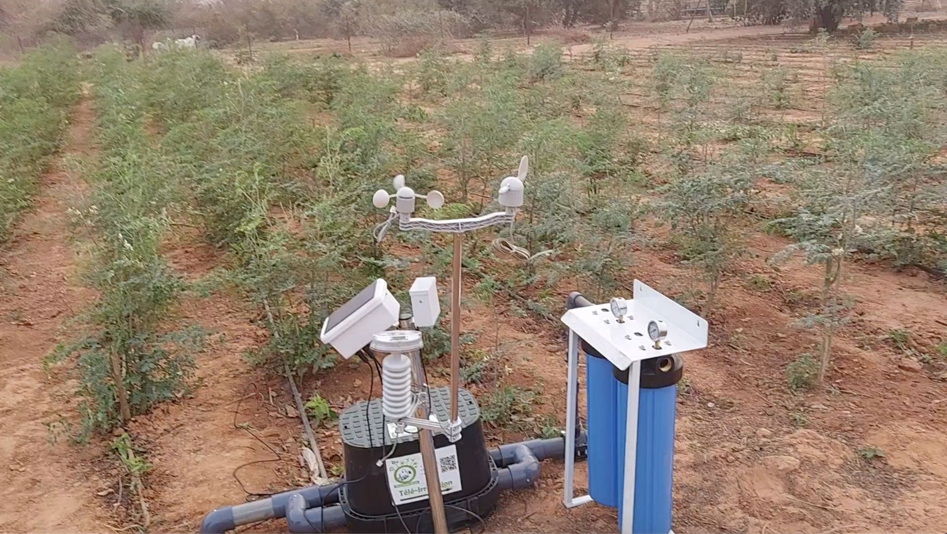 Contribution: WAHALESS SMART FARMING : TELE-IRRIGATION 2.0