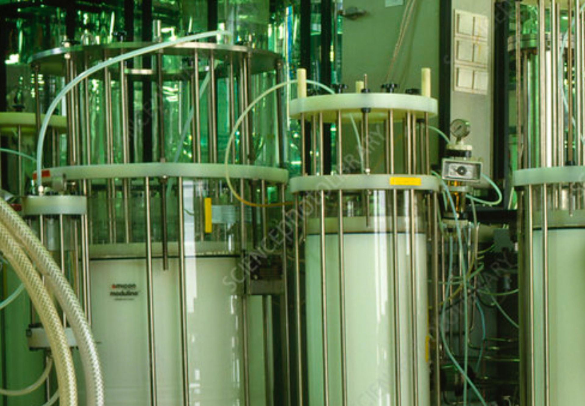 Magmatic Bio GmbH: Building the most efficient metal refineries using ...