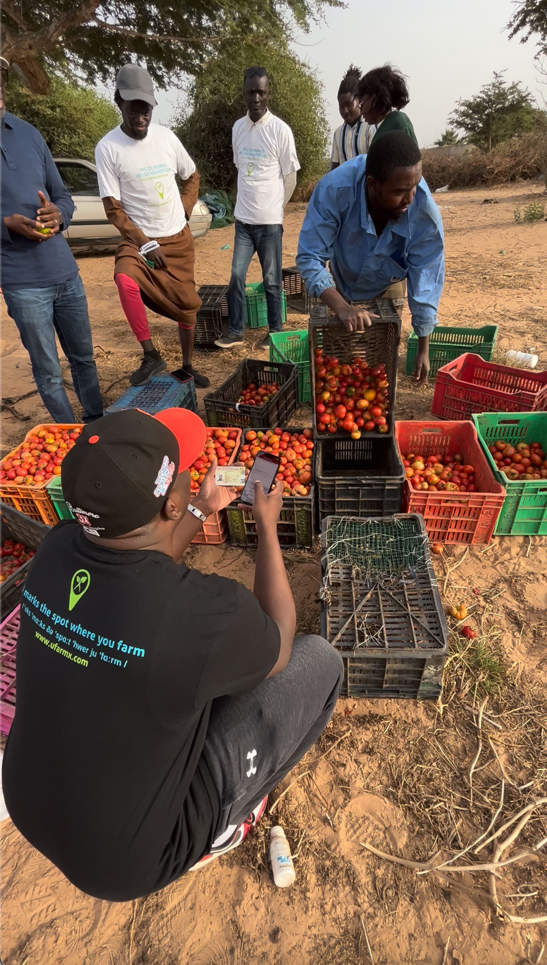 UfarmX: Empowering Farmers, Digitizing Agriculture - UpLink - Contribution