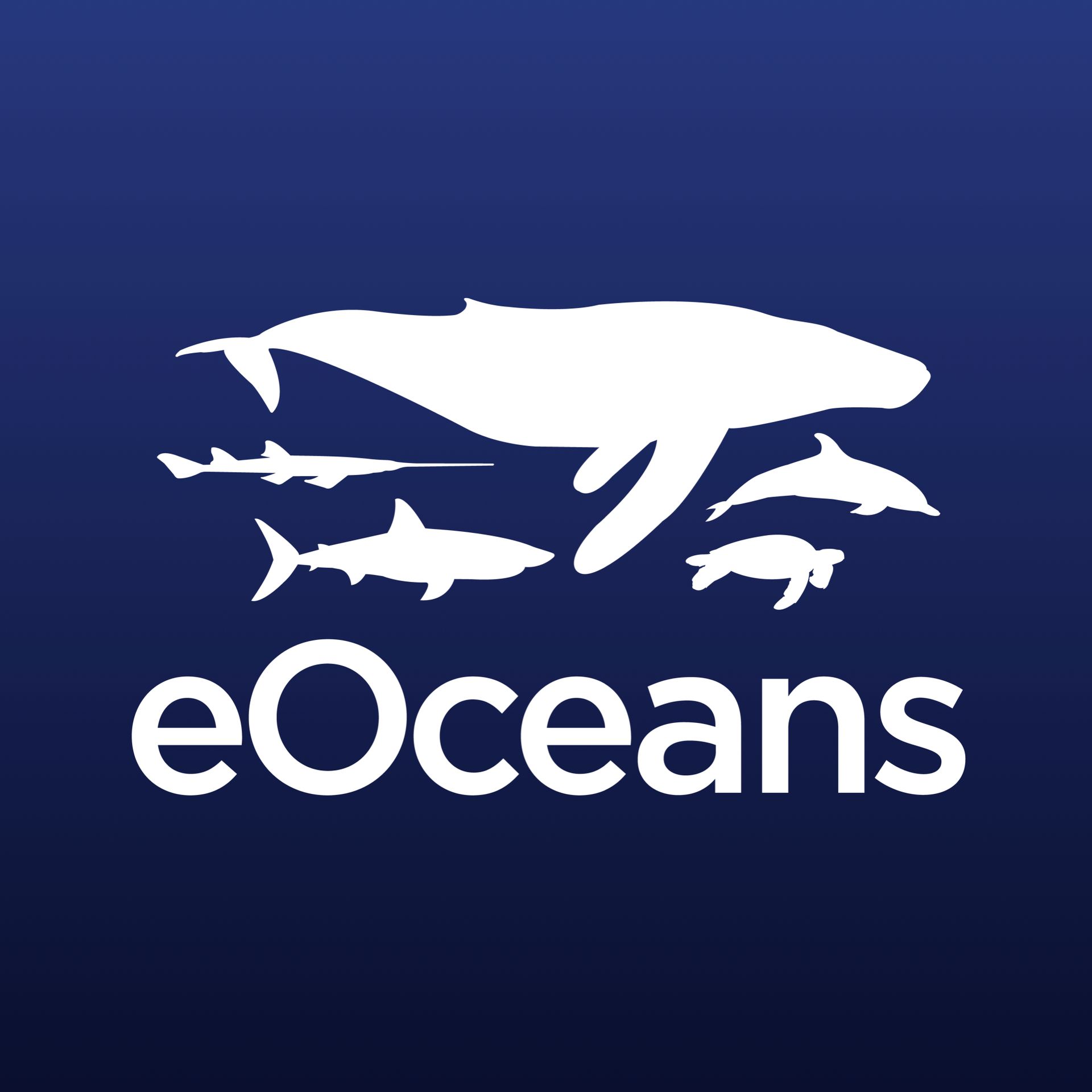 eOceans — Technology to guide a regenerative Blue Economy - UpLink - Contribution