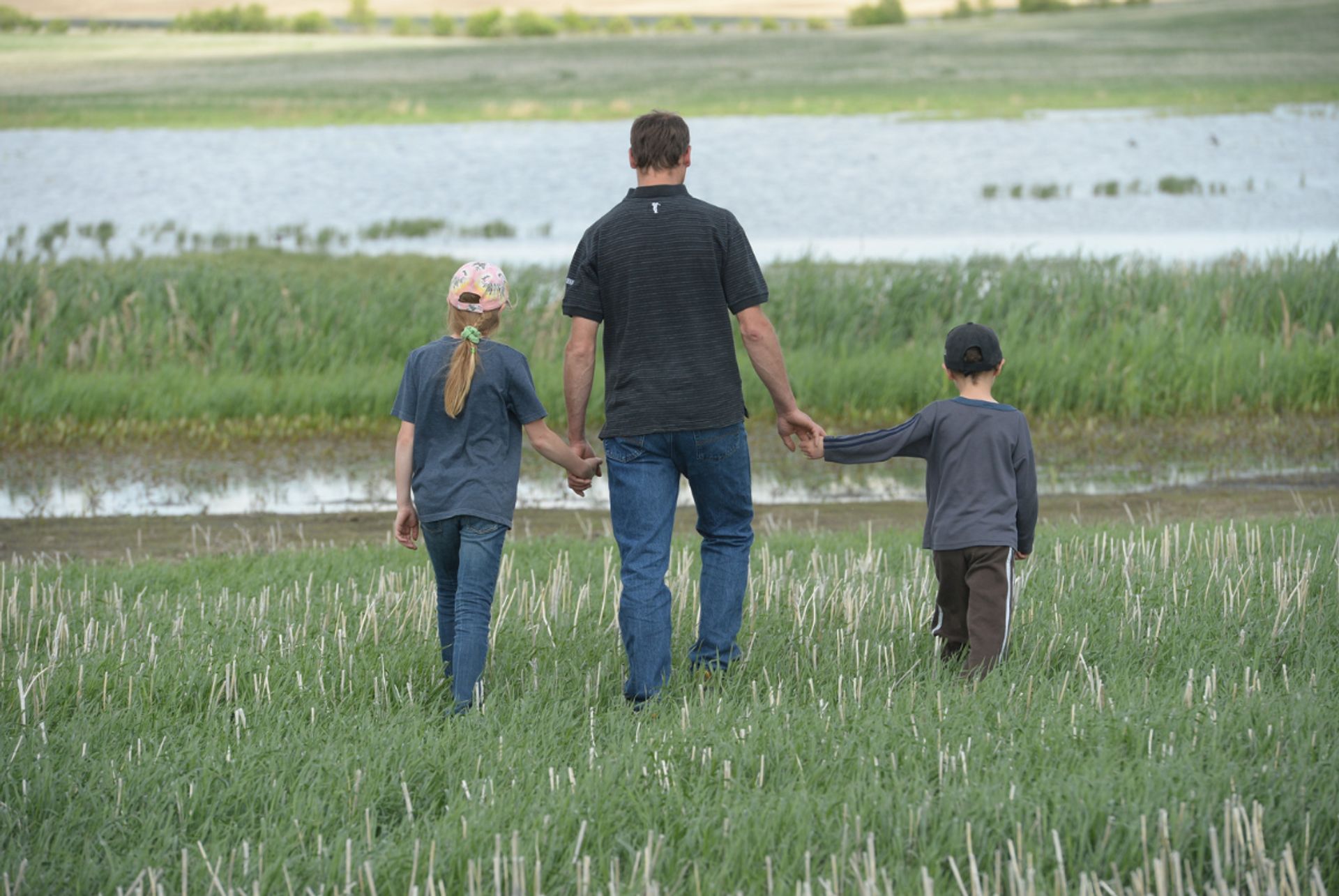 ALUS: Empowering farmer-led action to reduce nutrient pollution through ...