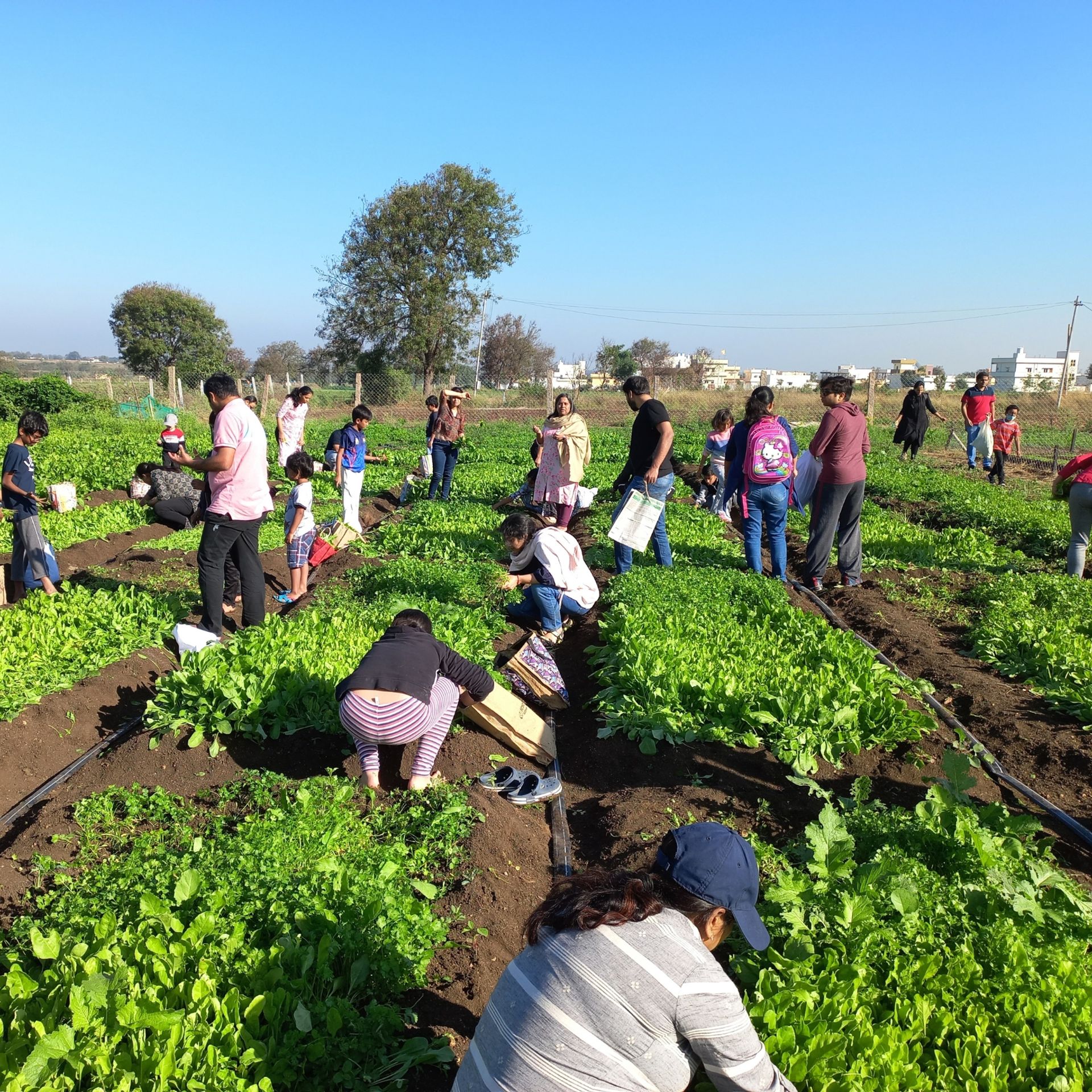Organo Et School - UpLink - Contribution
