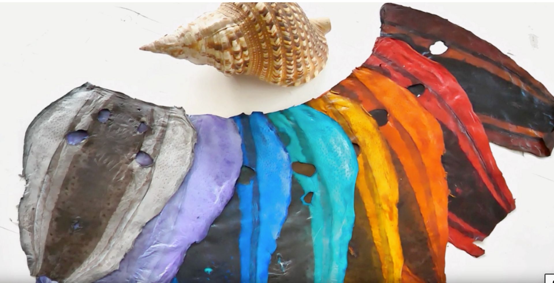 Mersea Marine Consulting: Exotic Invasive Pufferfish Leather Products - UpLink - Contribution