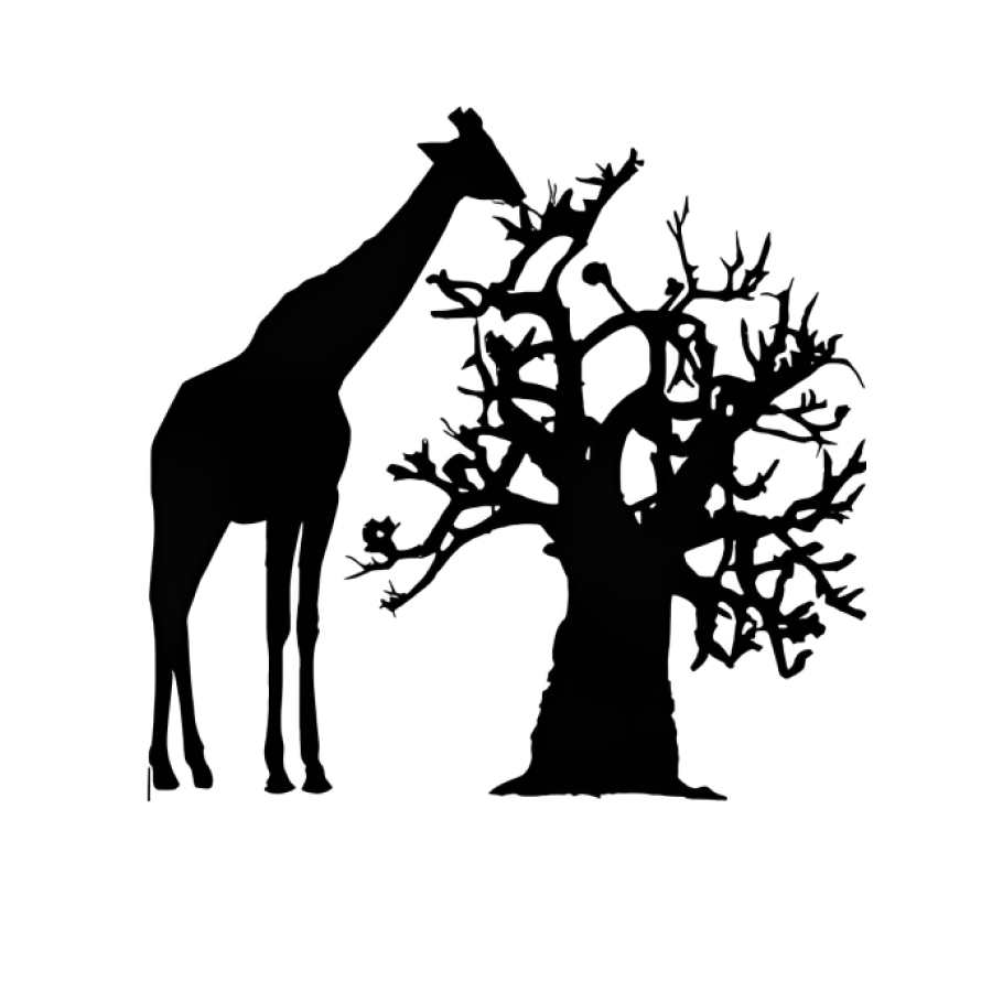 Contribution: Baobab value addition as a tool to conserve baobab trees ...