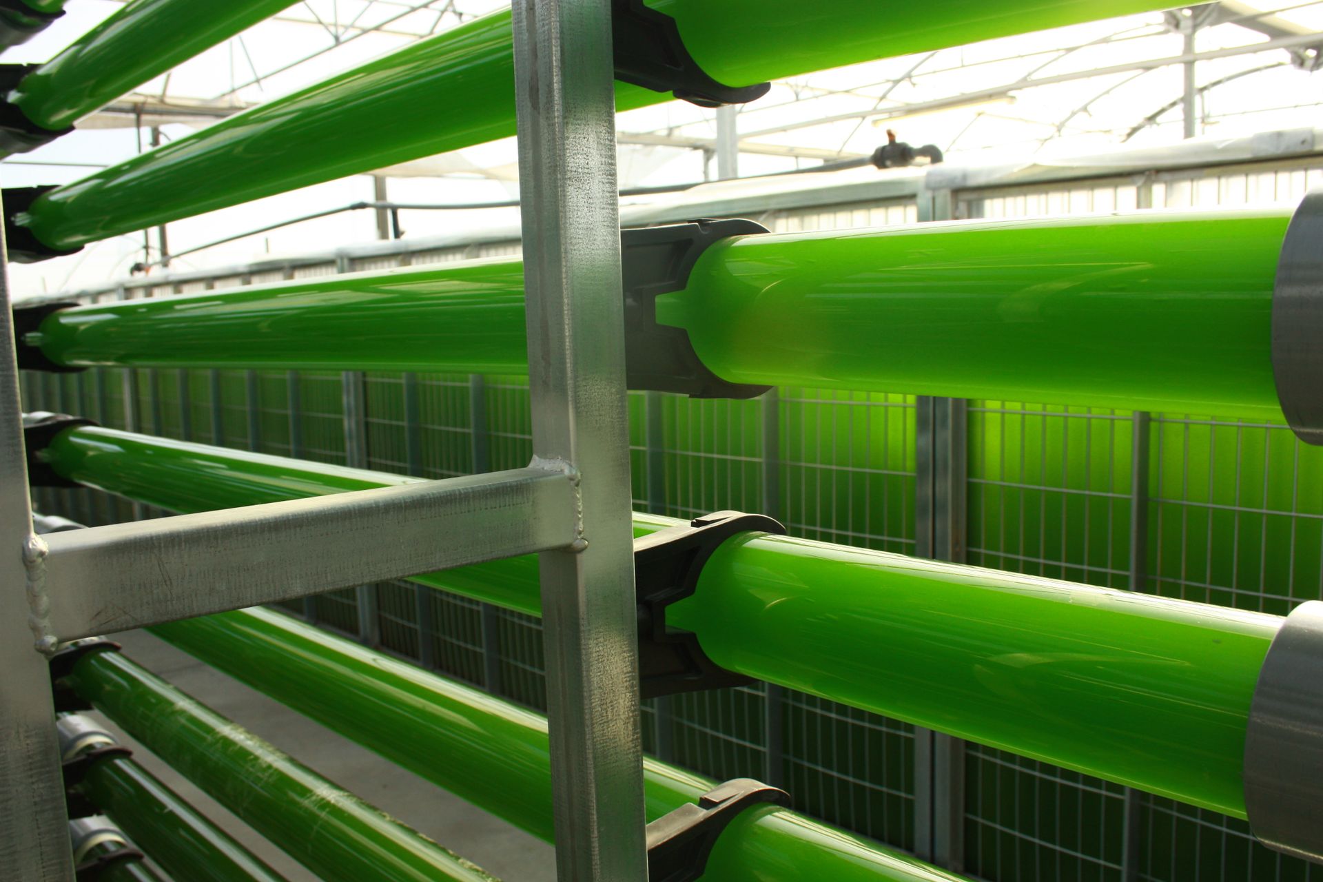ALGAENERGY: MICROALGAE FOR CARBON FARMING - UpLink - Contribution