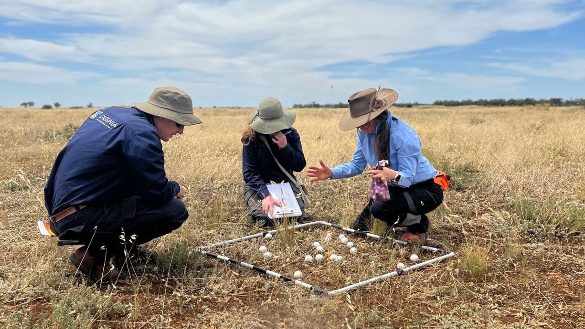 Contribution: Protecting Australia's Biodiversity. Forever. One square ...