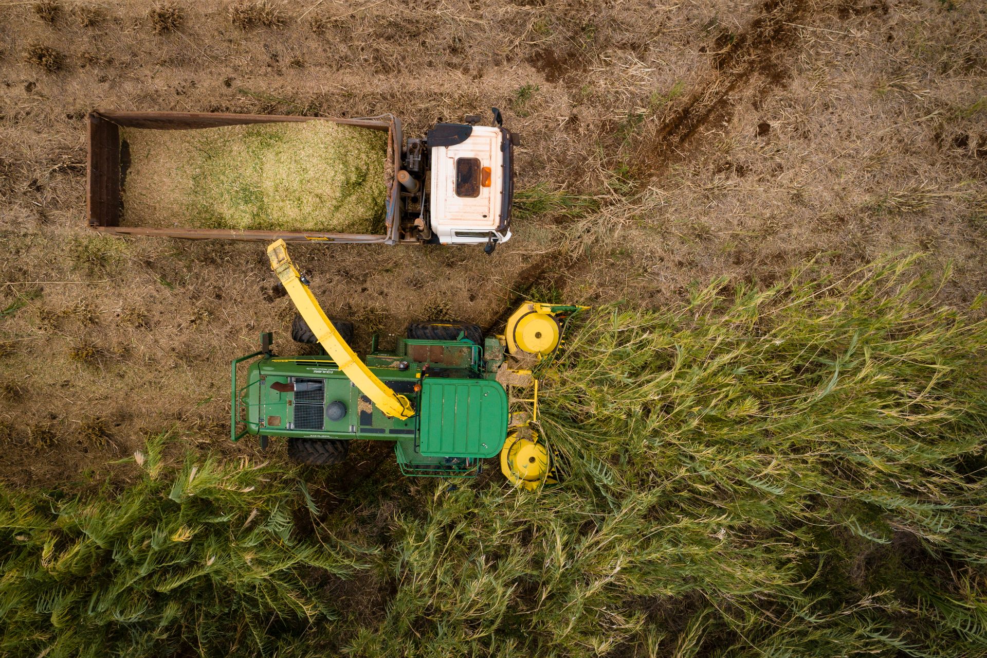 Afri Biomass Energy Ltd: 2025 - UpLink - Contribution