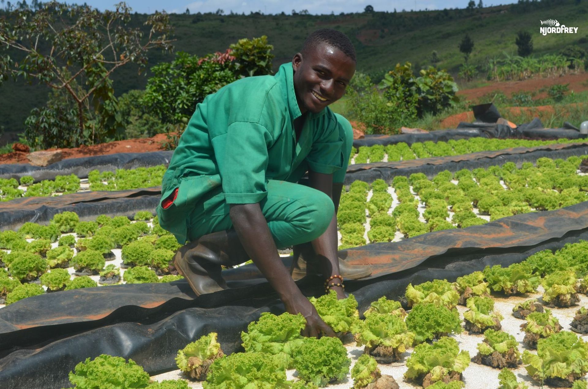 NjordFrey Climate Resilient Aquaponic Farming Solutions to Empower Farmers - UpLink - Contribution