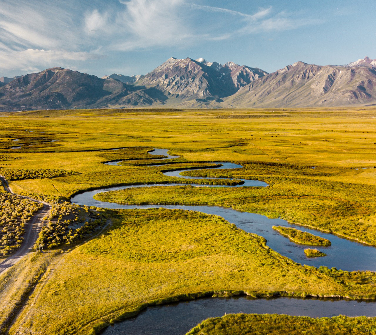 UpLink Topic - Timmy Bours