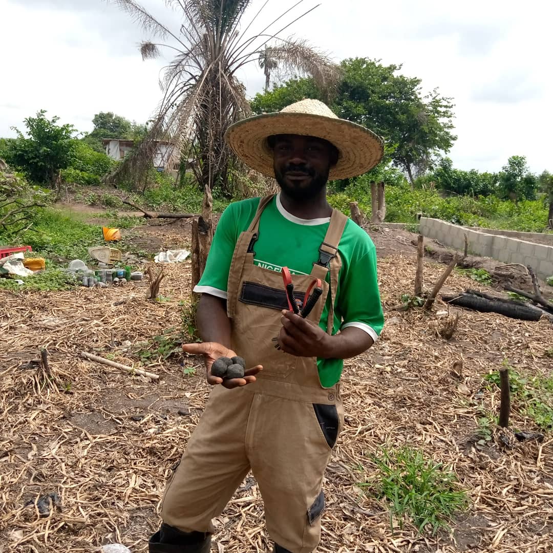 P.I.B Global Services LTD: Reforestation with Seedballs - UpLink ...