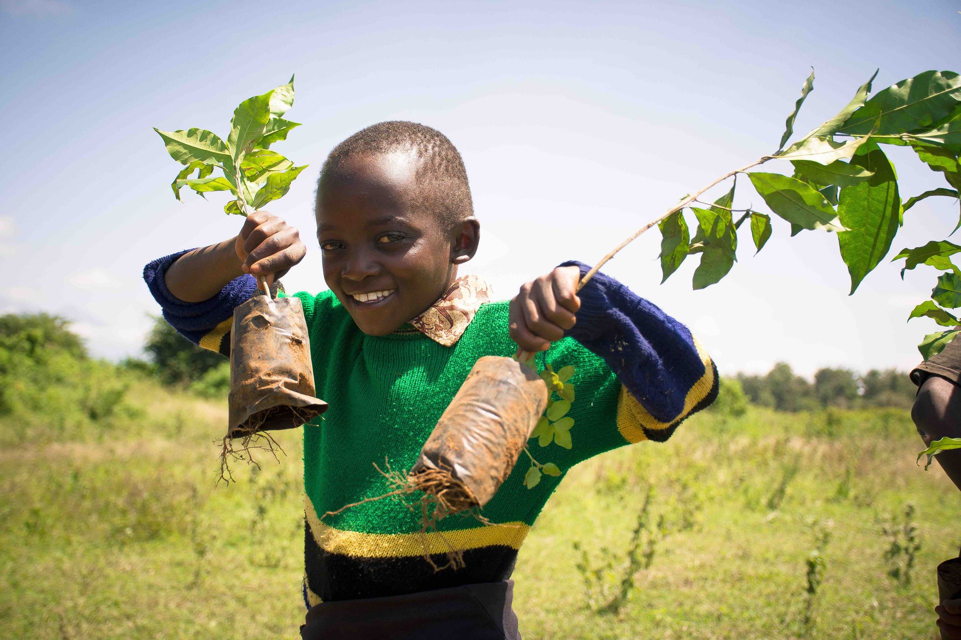 Kijani Pamoja (The Kilimanjaro Project): Kijani Pamoja Movement ...