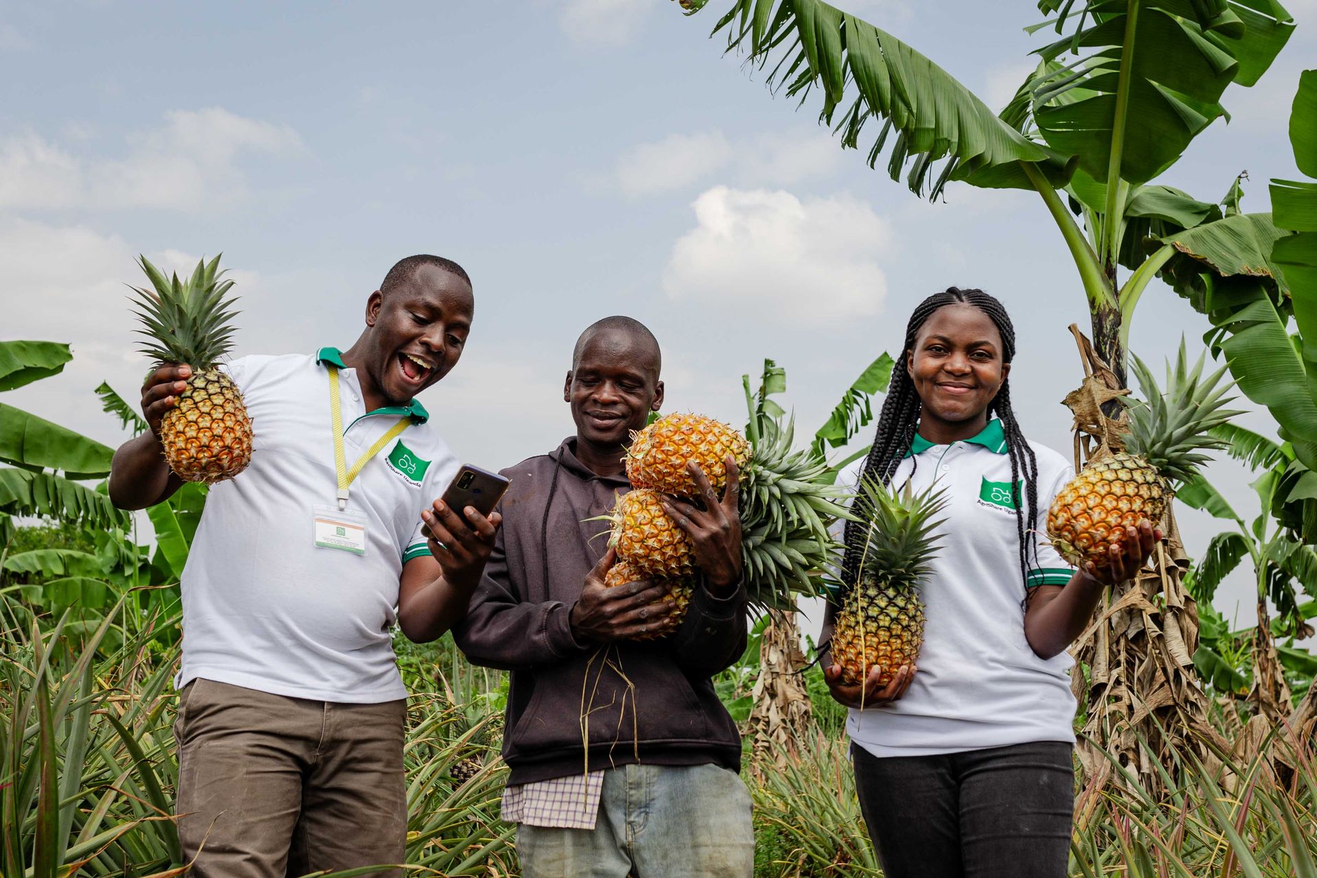 AgriShare - UpLink - Contribution