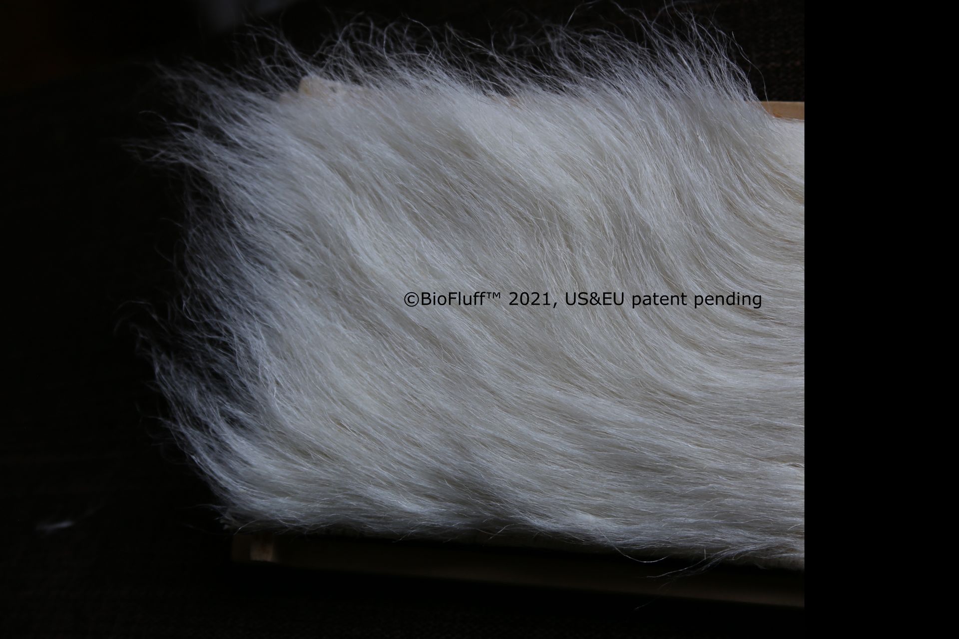 BioFluff: Producing 100% plant-based fur - UpLink - Contribution