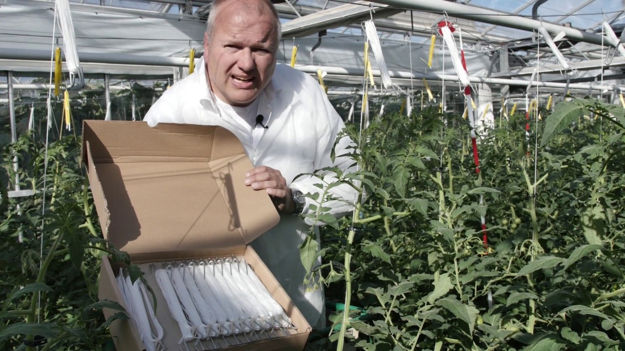 Senbis Sustainable Product B.V.: Industrial compostable PLA yarn ...