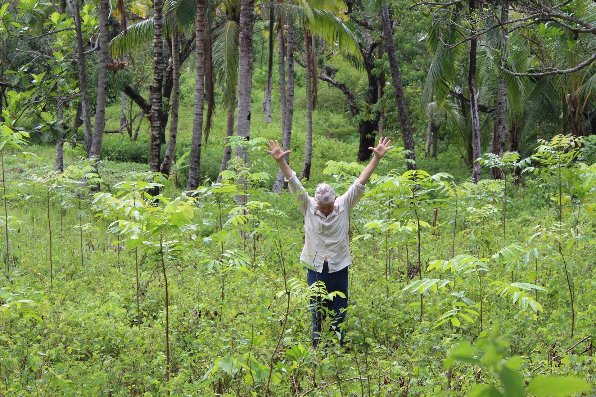 Trillion Trees - UpLink - Challenge