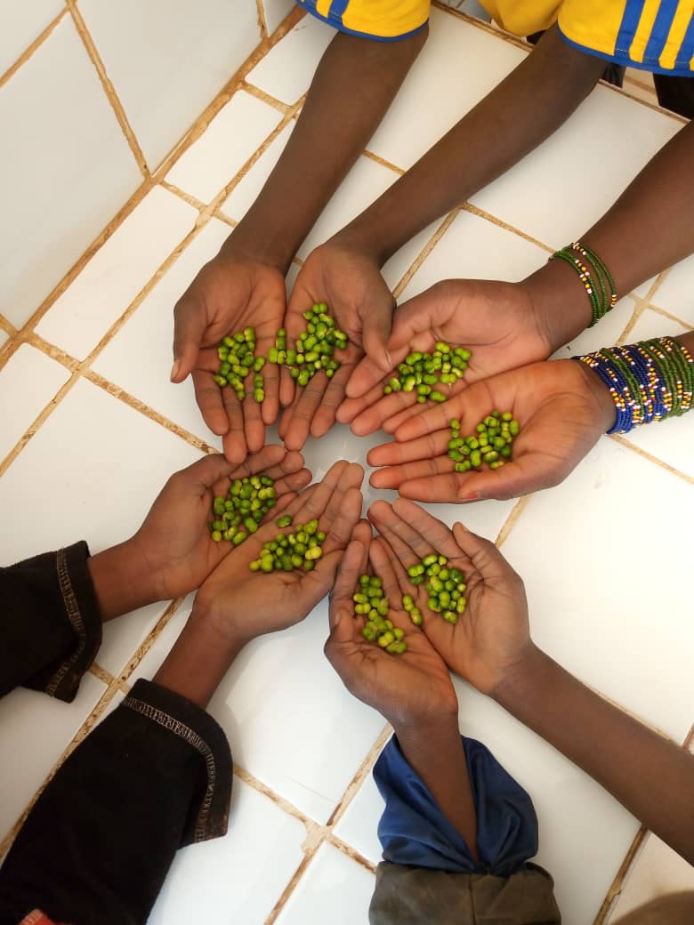 Labousitari: Planting trees in the Great Green Wall in Niger - UpLink ...