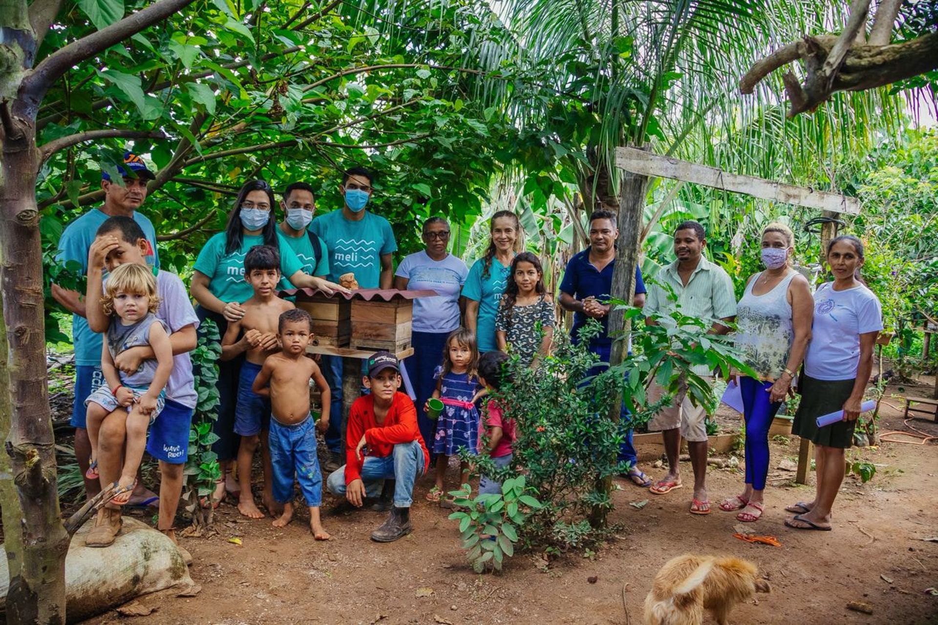 Meli Bees Network gUG: Arc of Regeneration - UpLink - Contribution