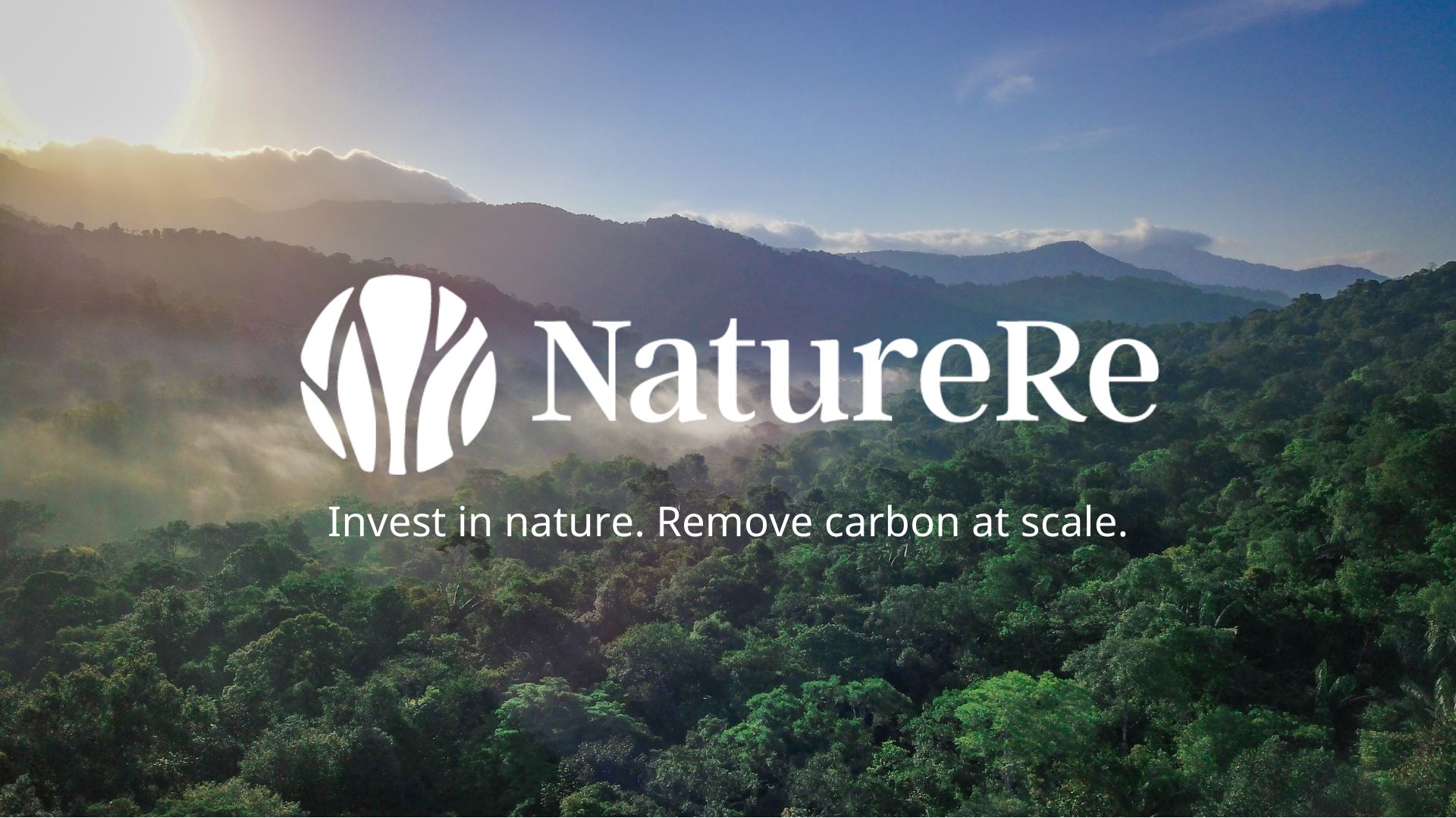 NatureRe Capital AG: Invest in nature. Remove carbon at scale. - UpLink ...