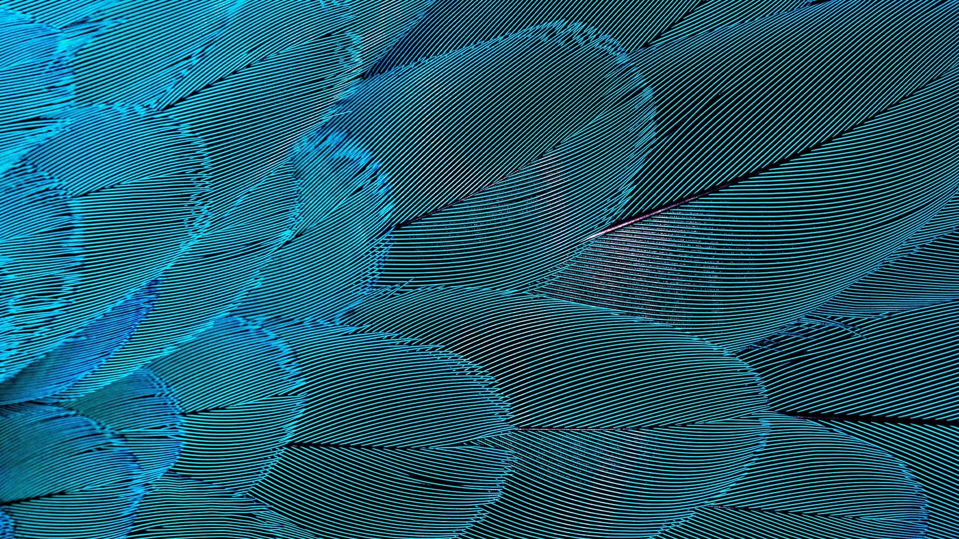 UpLink - World Economic Forum Open Innovation - Accelerate business ...