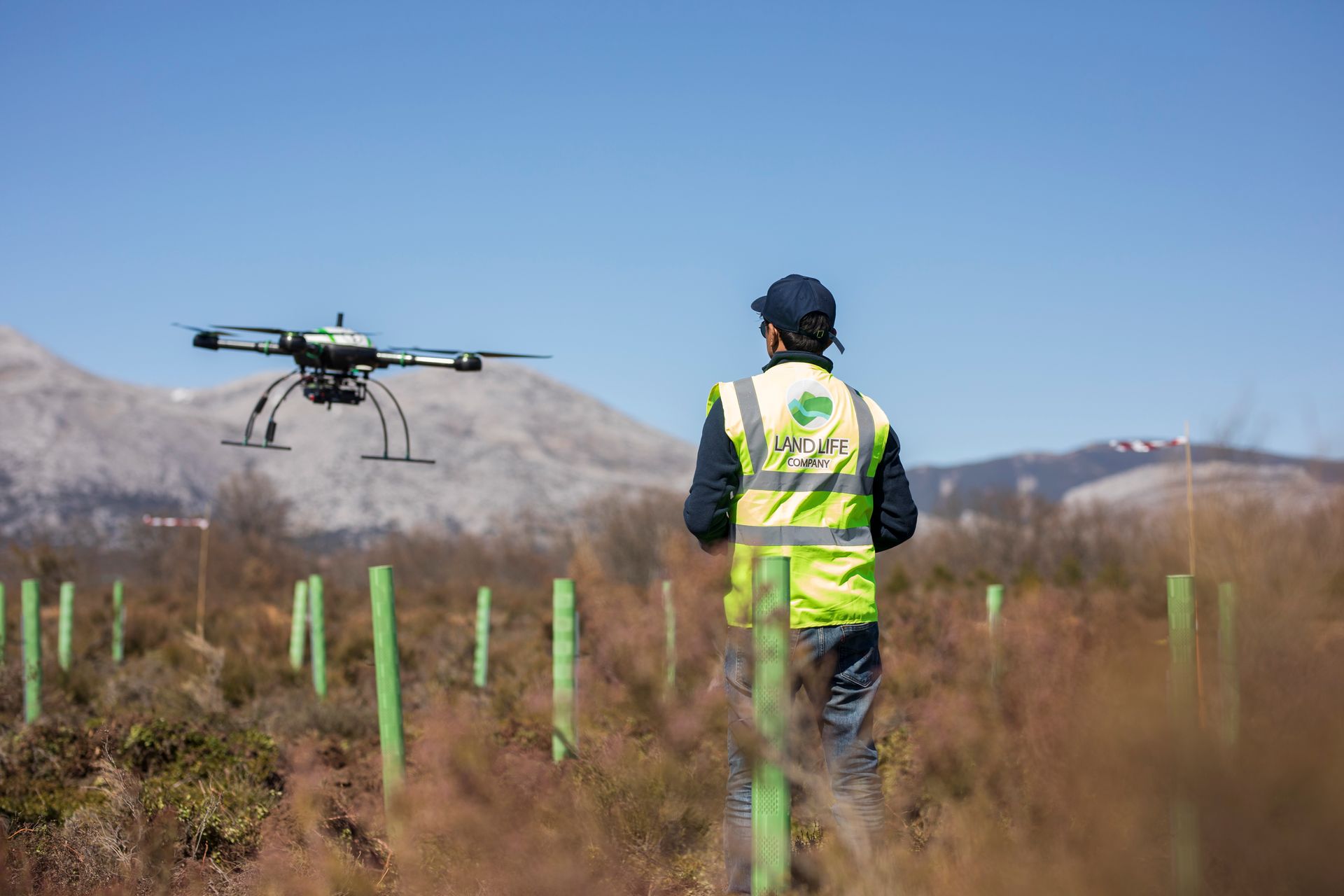 Land Life Company: Tech and science driven reforestation - UpLink ...