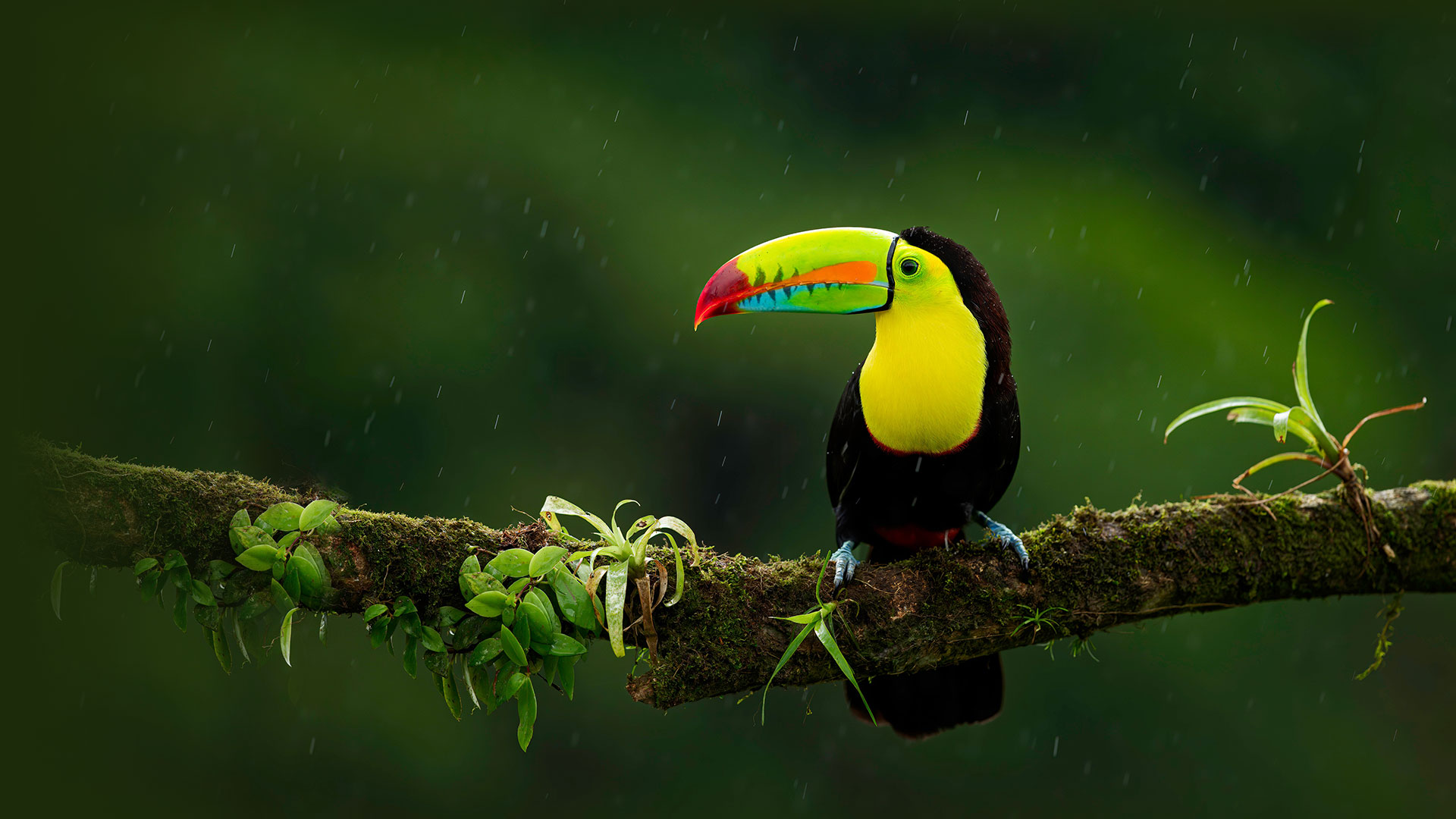 UpLink - World Economic Forum Open Innovation - Accelerate business ...