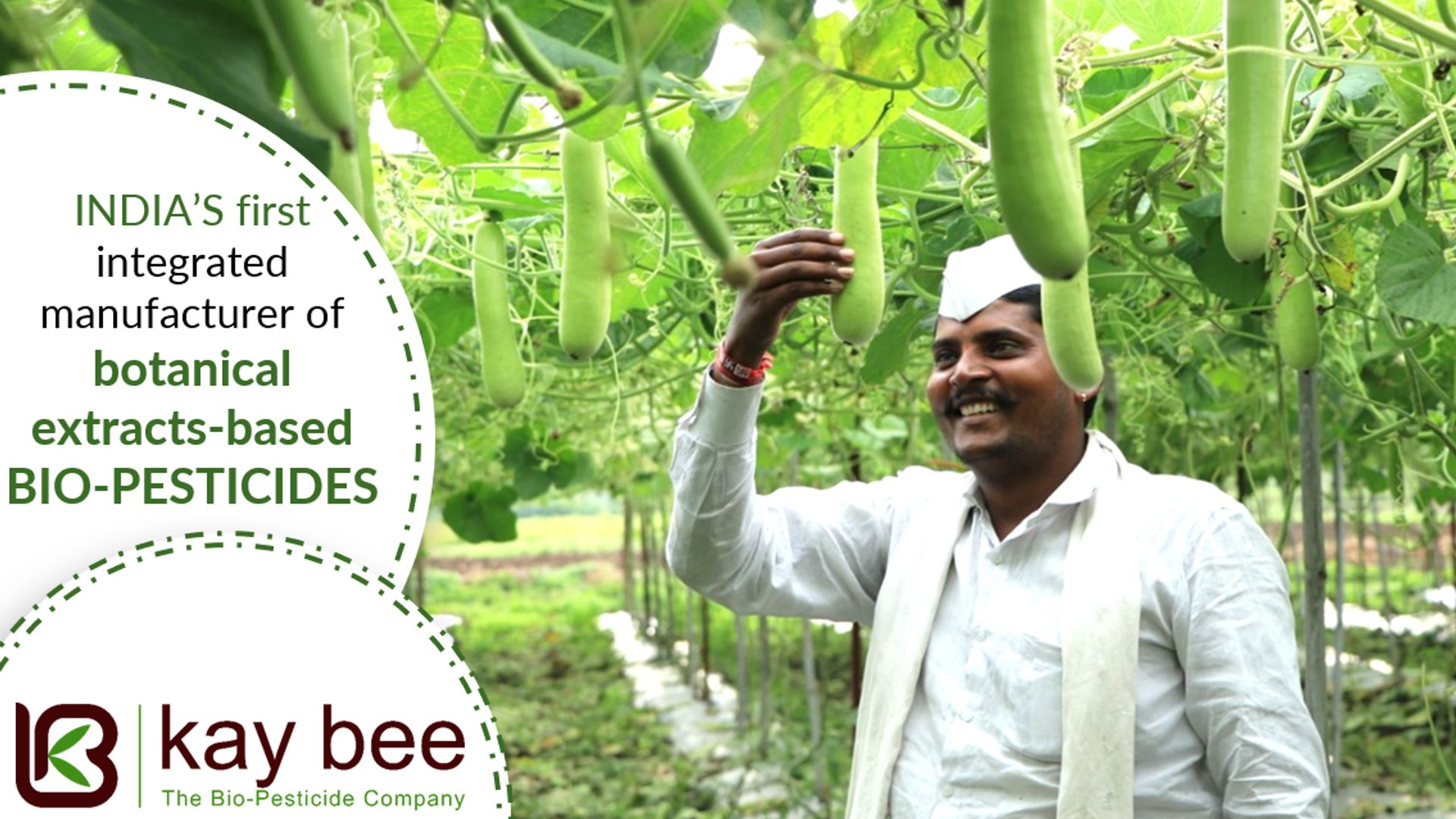 Natural, Organic Bio-Pesticides For A Sustainable Farming - UpLink ...