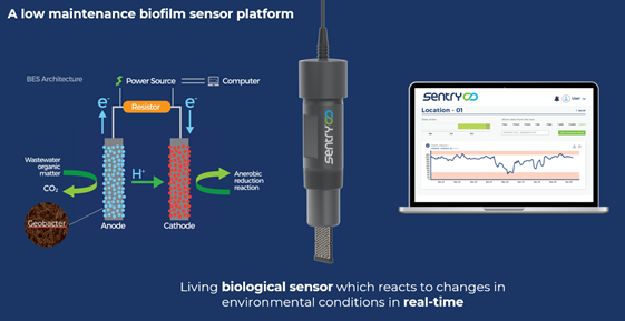 SENTRY: WATER MONITORING AND CONTROL INC.: Low-maintenance, real-time ...